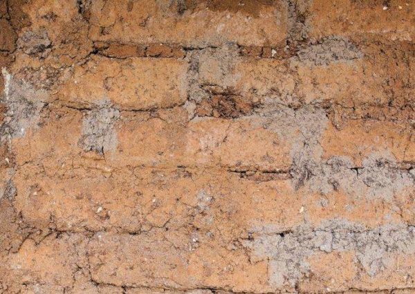 Sargasso Bricks? - AkumalNow