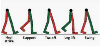 Walking - The Underrated Exercise - AkumalNow