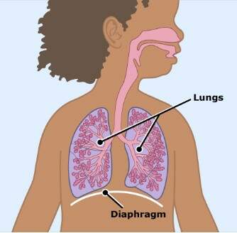 Easy Lung Exercises - AkumalNow