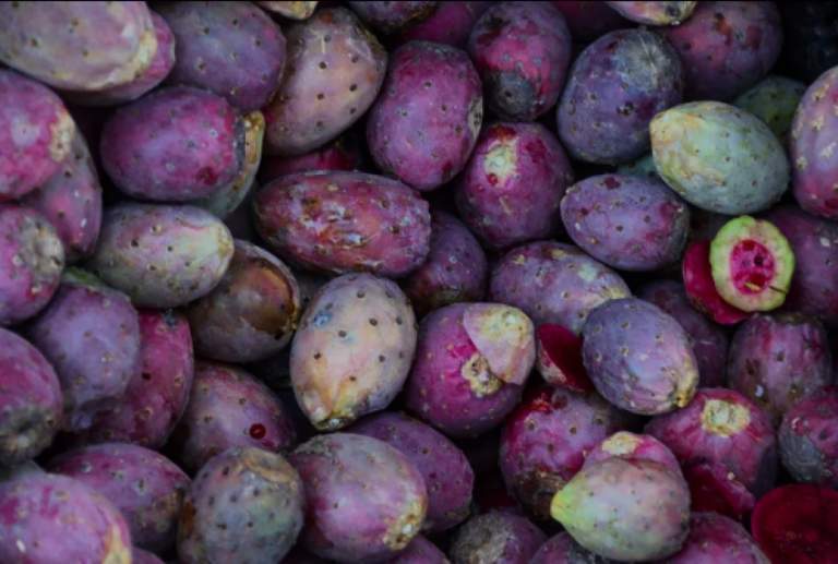 Mexican Fruits: When, Where, and Why to Buy Them - AkumalNow