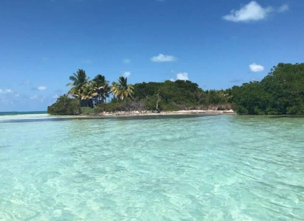 Wanna Buy An Island Akumalnow